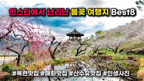 인생사진 찍으러 가는 봄꽃 여행지 Best8 후회 없는 여행지 저장해두시고 다녀오세요 Youtube