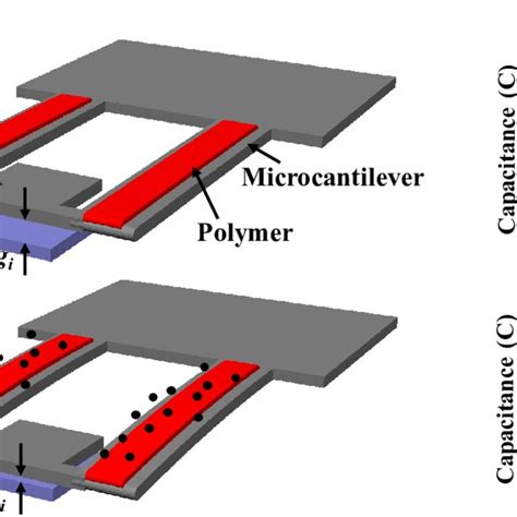 1 Operation Of A Reference Polymer Based Capacitive Microcantilever Download Scientific