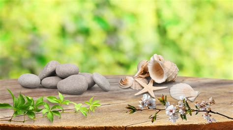 Nature Table Magic Sparking Joy And Discovery In Montessori