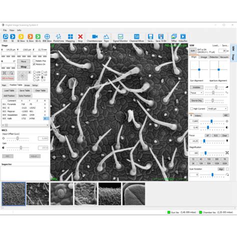 Sem Control Software Regen Microscopy