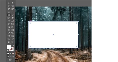 How To Crop An Image In Illustrator