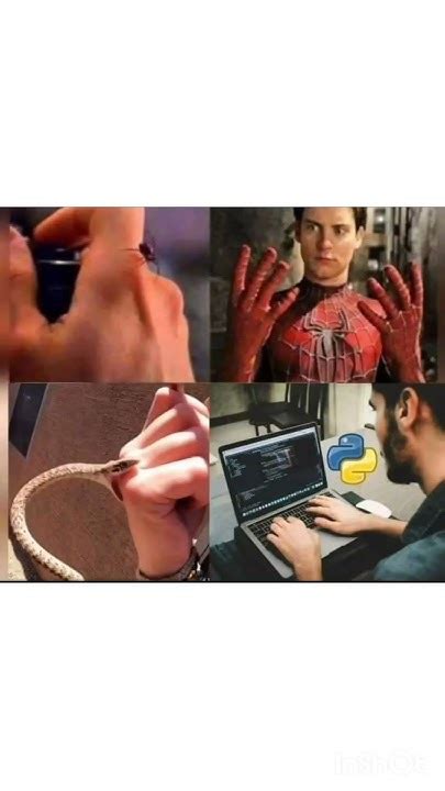 Python Man 🤣🤣programmingmemes Debuggingmemes Codingshorts Memes Youtube