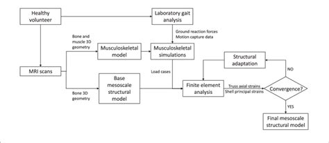 Modelling Framework Download Scientific Diagram