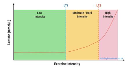 Lactate Threshold Energy At Brandon Myers Blog