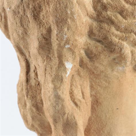 Hellenistic Style Figural Plaster Bust On Black Glaze Ceramic Stand Ebth