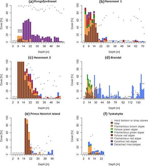 Coverage Of Visually Dominant Macroalgal Groups And Detached Macroalgae Download Scientific