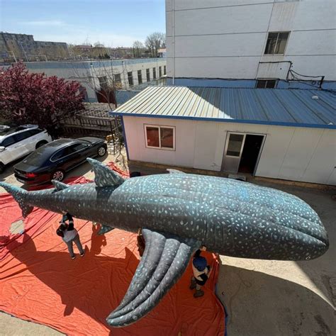 Giant 10m Long Inflatable Whale Shark Inflatable Marine Animal Whales