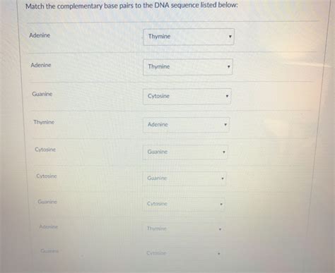 Solved Match The Complementary Base Pairs To The DNA Chegg Com