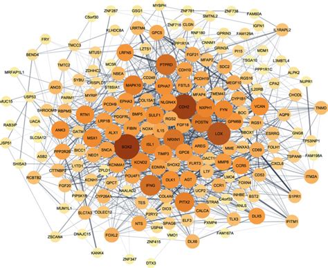 Meta‐analysis Of Microarray Data To Determine Gene Indicators Involved