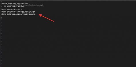 DHCPv6 The Absolute Guide RapidSeedbox