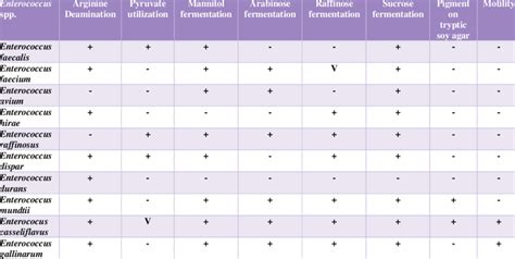 Panel Of Biochemical Tests Used For Identification Of Enterococcus