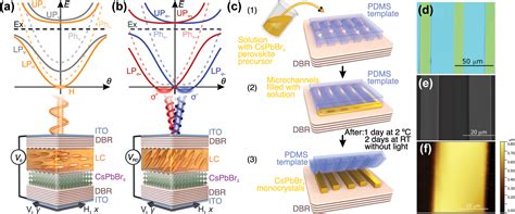Electrical Polarization Switching Of Perovskite Polariton Laser