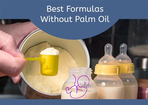 Best Lactose Free And Low Lactose Formulas For Sensitive Babies In