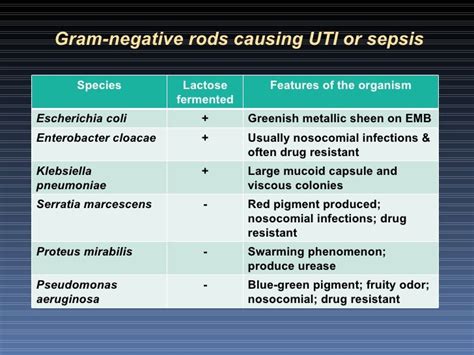 Antibiotic Coverage Enterobacter At Carla Langford Blog
