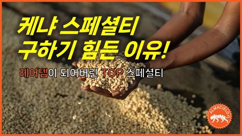 케냐 스페셜티 지금 구하기 힘든 이유 알마씨엘로 가 친절히 알려드립니다 Youtube