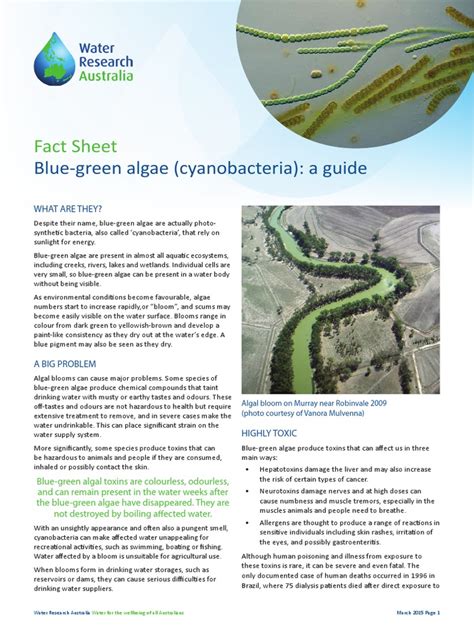 Cyanobacteria Guide Pdf Cyanobacteria Algae