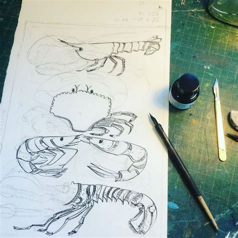 New Drawing Of Shellfish Getting Underway Sketches Drawings