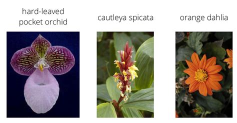 GitHub Edidiongarchibongeso Image Classifier Using Deep Learning The Goal Of This Project Was