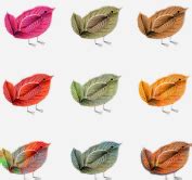 C语言条件判断 if else 猿说编程