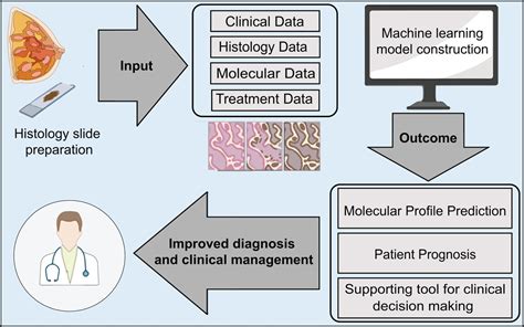 computational pathology to improve biomarker testing in brea
