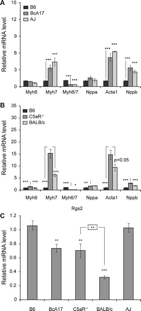 Figure 1 From A Novel Role For The Fifth Component Of Complement C5 In Cardiac Physiology