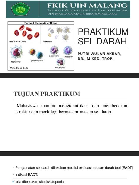Morfologi Sel Darah Pdf