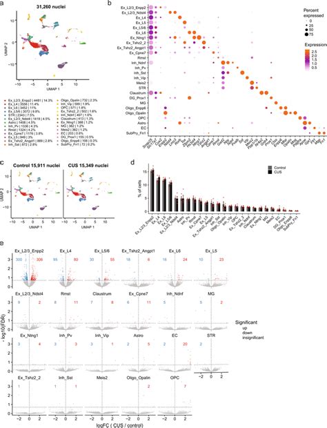 Identification Of Cus Driven Cortical Cell Type Specific Gene Download Scientific Diagram