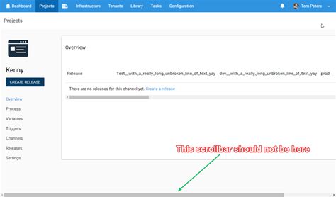 Two Horizontal Scrollbars Appear In Project Dashboard · Issue 4083