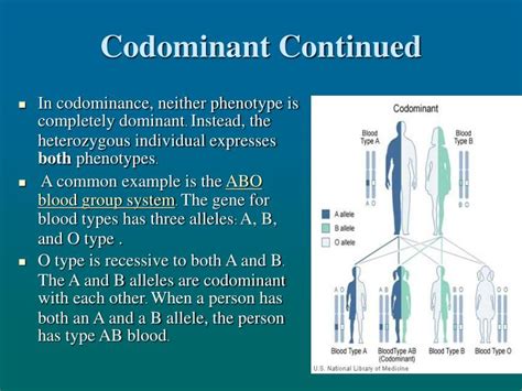 PPT Human Genetics Dominant Recessive Traits PowerPoint Presentation ID