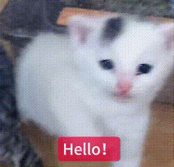 哈喽hello挥手打招呼表情包大合集（近期很火） 知乎