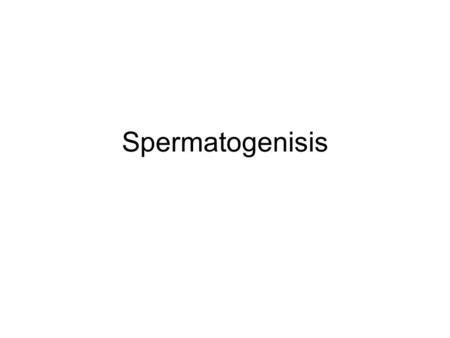 An Ultrastructural And Immunocytochemical Study Of A Rare Genetic Sperm Tail Defect That Causes