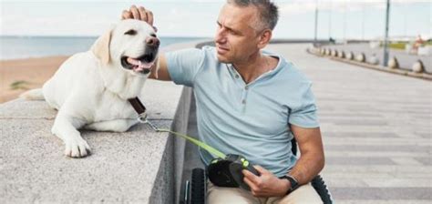 Codependency Vs Interdependency A Big Difference