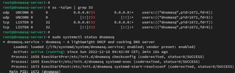 Einen Lokalen Dns Resolver Mit Dnsmasq Unter Debian 12 Installieren Howtoforge