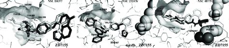 Docked Representations Of Candidates With Positive Binding Free Energy