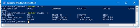 Seafile Server In Docker Is Ready For Testing On Windows 10