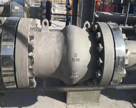Axial Flow Check Valve