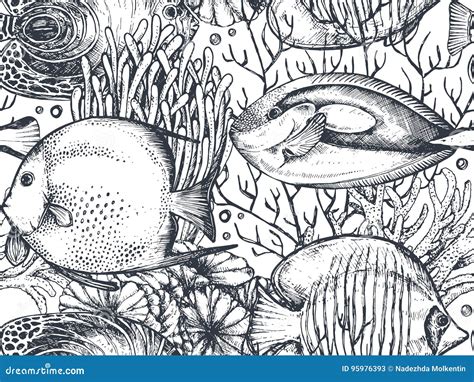 Vector Algae Structure 50154427