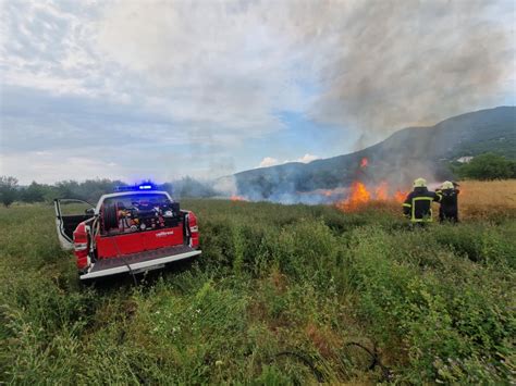 Пожар на земјоделско земјиште со насади во близина на с Ново село Дебарца Ohrid1