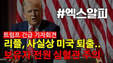 리플 이럴 줄 알았다 Youtube