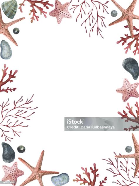 손으로 그린 불가사리 홍합 조개 바다 자갈 해초가 있는 바다 프레임 빈티지 스타일 그림입니다 장식 장식 프레임 텍스트를 위한