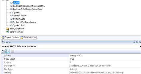 Perks Of Being A Software Developer 00000100 Ssis Script Task Could Not Load File Or