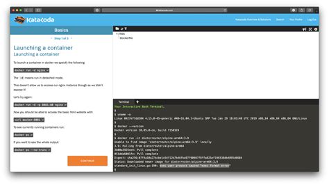 Docker Engine On Intel Linux Runs Arm Containers Docker Pirates ARMed With Explosive Stuff