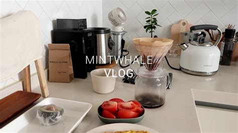 민트고래일상기록vlog핸드드립 클래스 고양이와 함께한 하루 Youtube