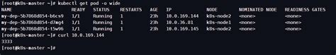 Kubernetes故障篇：caliconode Is Not Ready Bird Is Not Ready Codertl 博客园