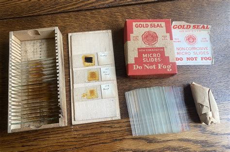 Antique 1920s Microscope Slides And Nos Gold Grelly Usa