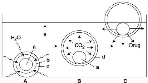 Figure 1 From Formulation And In Vitro Evaluation Of Effervescent