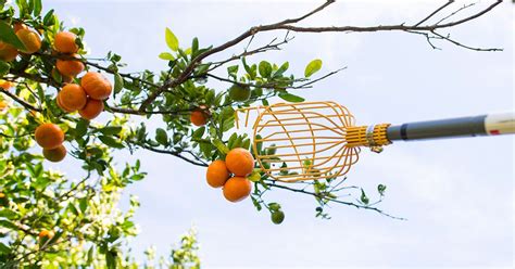 Youssef Zohny Caia On Linkedin Are Markets Overpriced Morgan Stanley