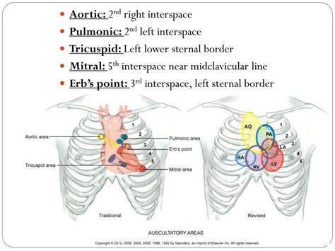 Ppt Cardiovascular Assessment Powerpoint Presentation Free Download