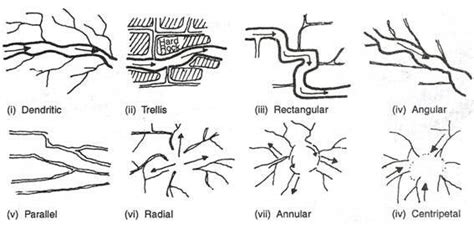 18 Fresh Dendritic Pattern Joey Joeysocial