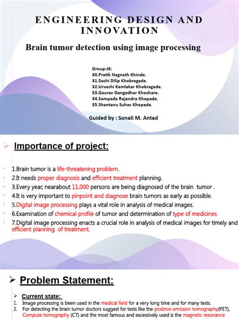 Edi Project Progress Pdf Image Segmentation Brain Tumor